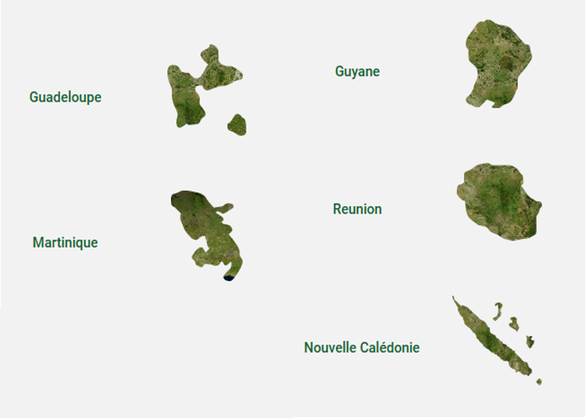 LES RACES OVINES – RACES DE FRANCE